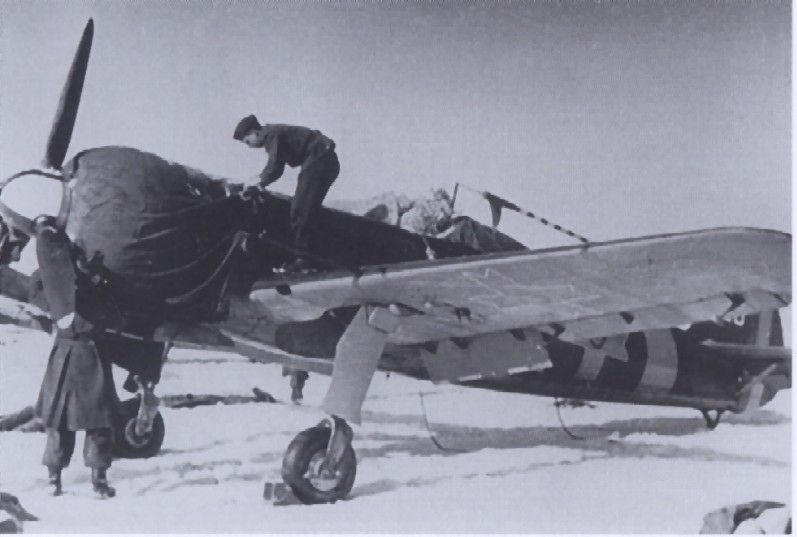 IAR 81C | Aircraft of World War II - WW2Aircraft.net Forums